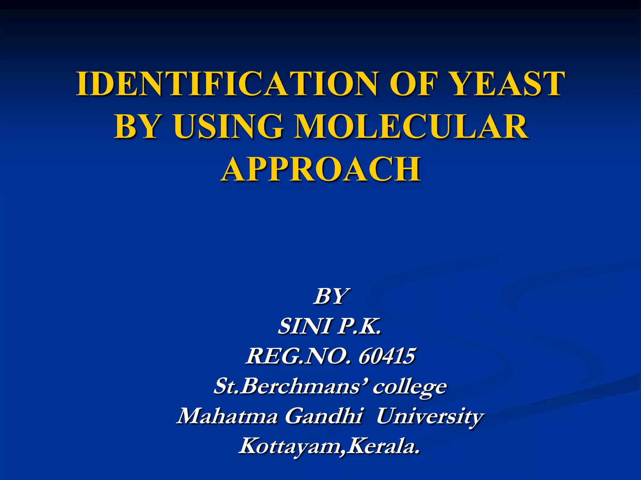 Strain Identification of yeast cell using Molecular Biology techniques | PPT