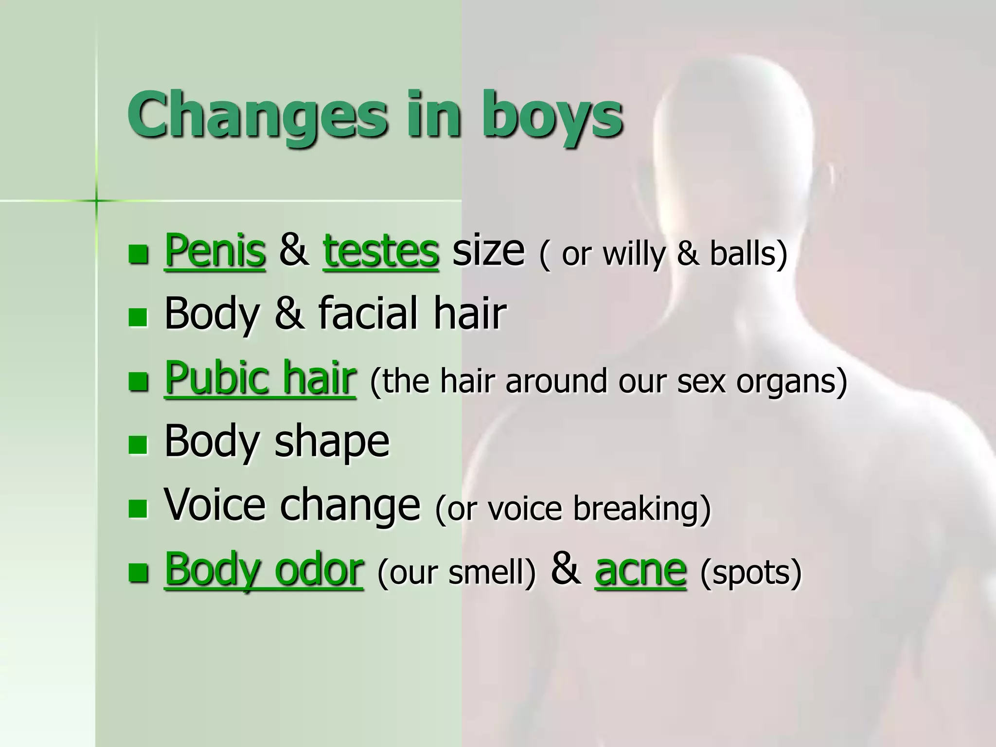 Powerpoint puberty part 1, puberty, body changes & differences | PPT