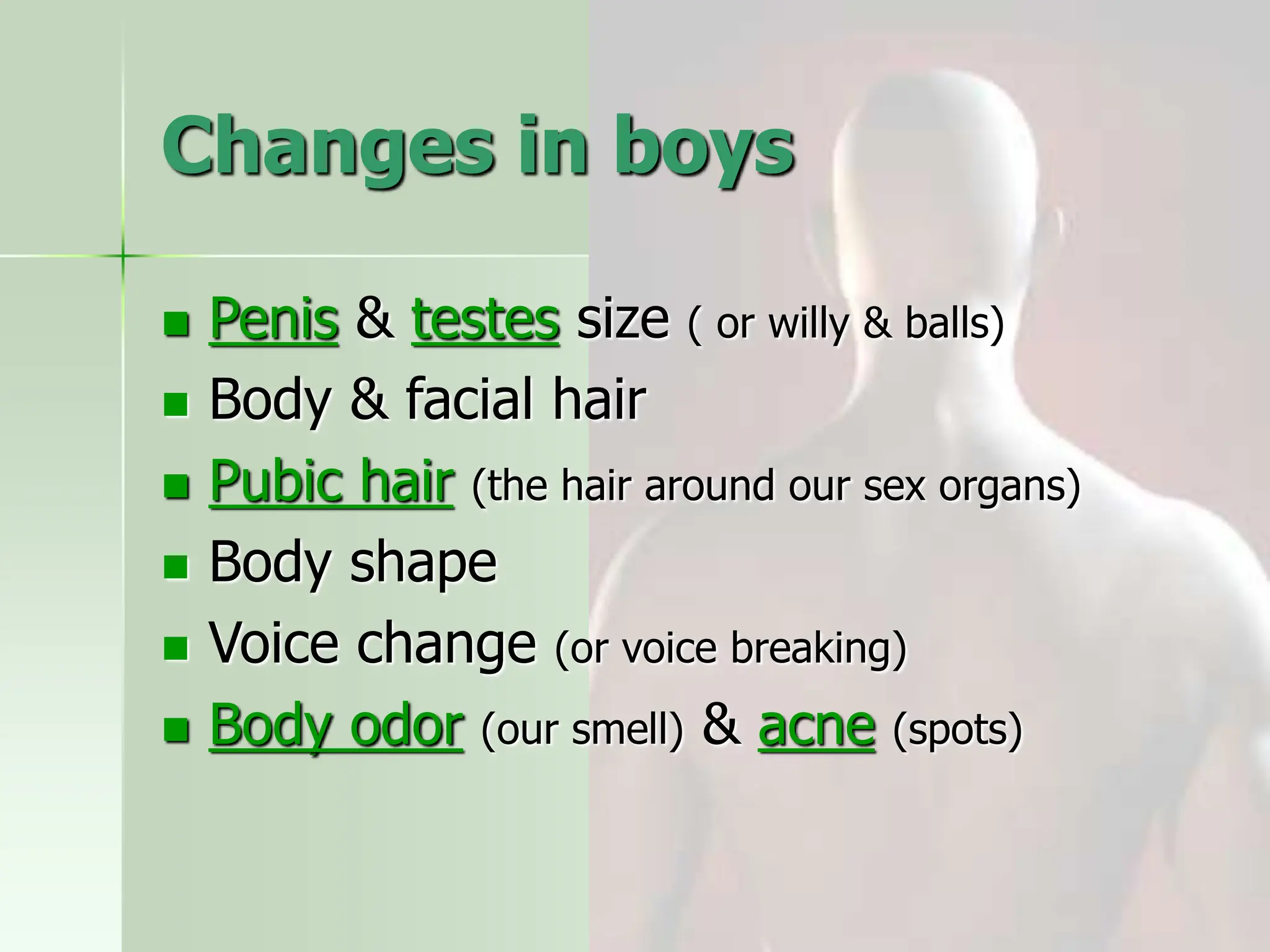 Powerpoint - Puberty Part 1, Puberty, body changes & differences.ppt