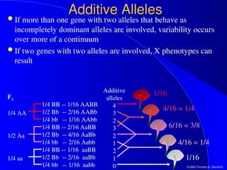 powerpoint-quantitative-genetics.itisppt | PPT | Genetics | Science