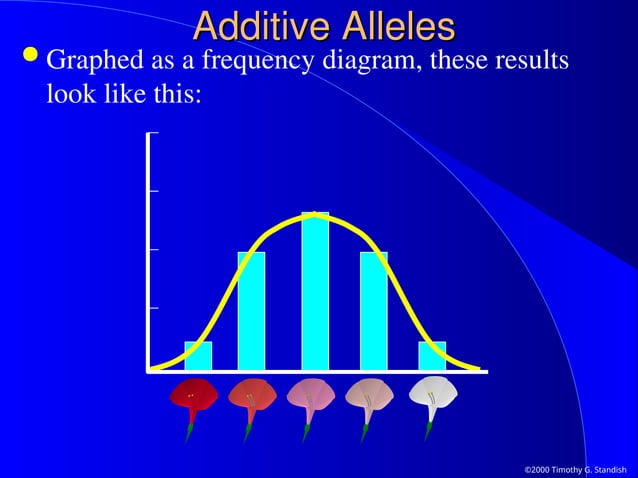 powerpoint-quantitative-genetics.itisppt | PPT