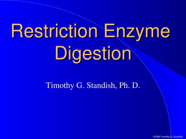 powerpoint-restrictionendoluclease-enzymes.ppt