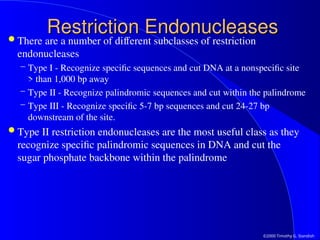 powerpoint-restrictionendoluclease-enzymes.ppt