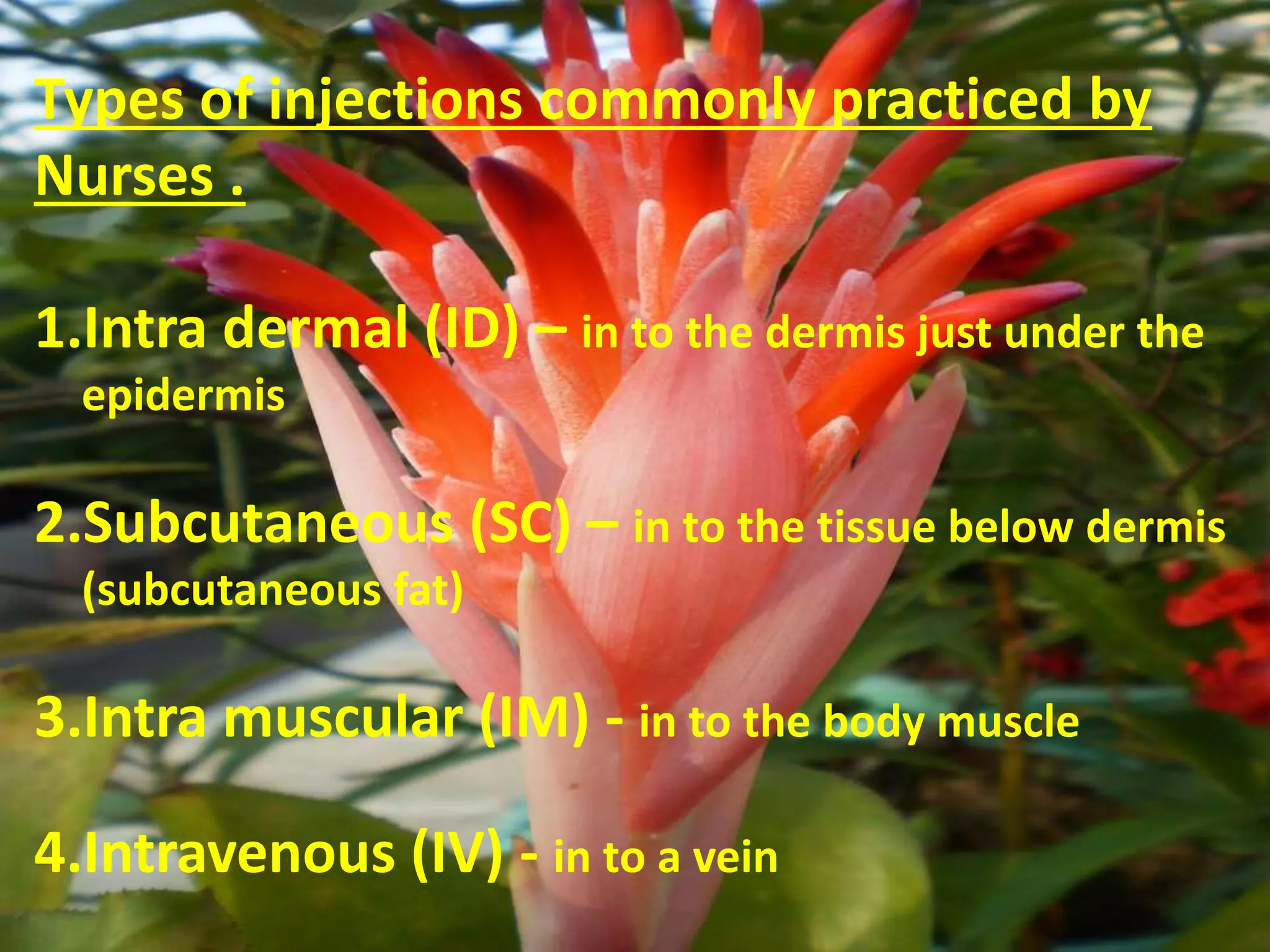 Safe injection practice for nurses | PPSX