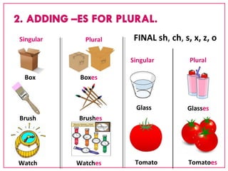 NB1 - Singular and plural | PPT