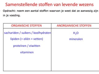 Powerpoint - stoffen in het lichaam.pptx