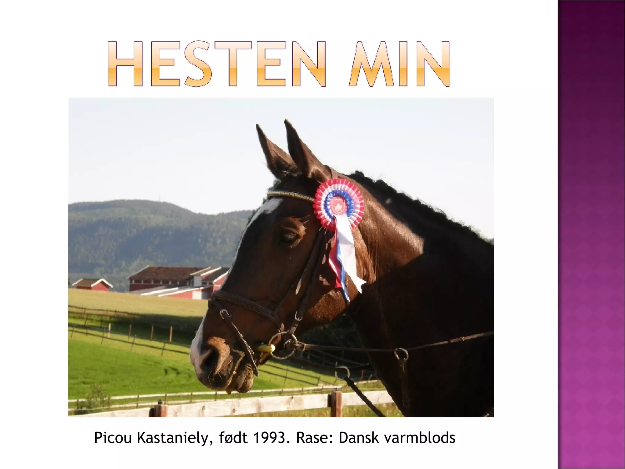 Powerpoint Test.Ppt2003 | PPT