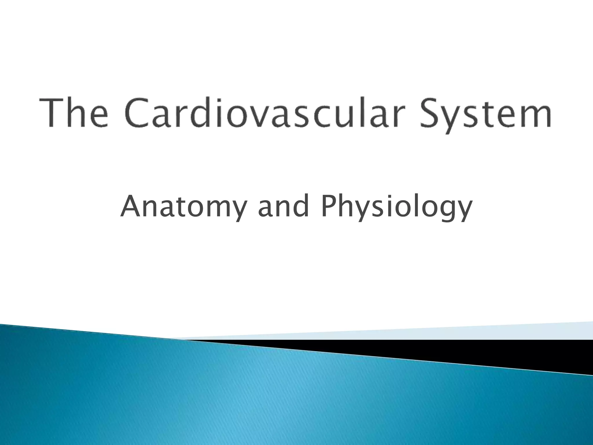 Power point the cardiovascular system - anatomy and physiology | PPTX