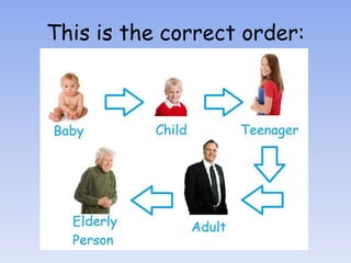 Powerpoint - The Human Life Cycle.ppt