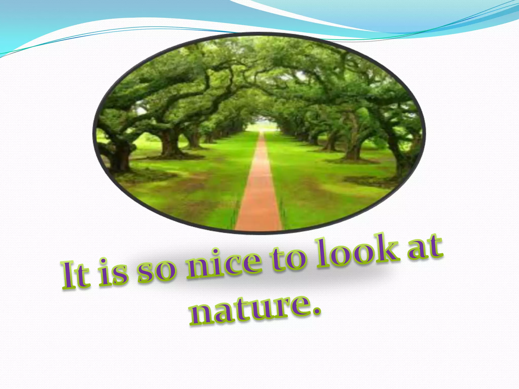 Powerpoint trees-presentation | PPTX