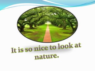 Powerpoint trees-presentation | PPT