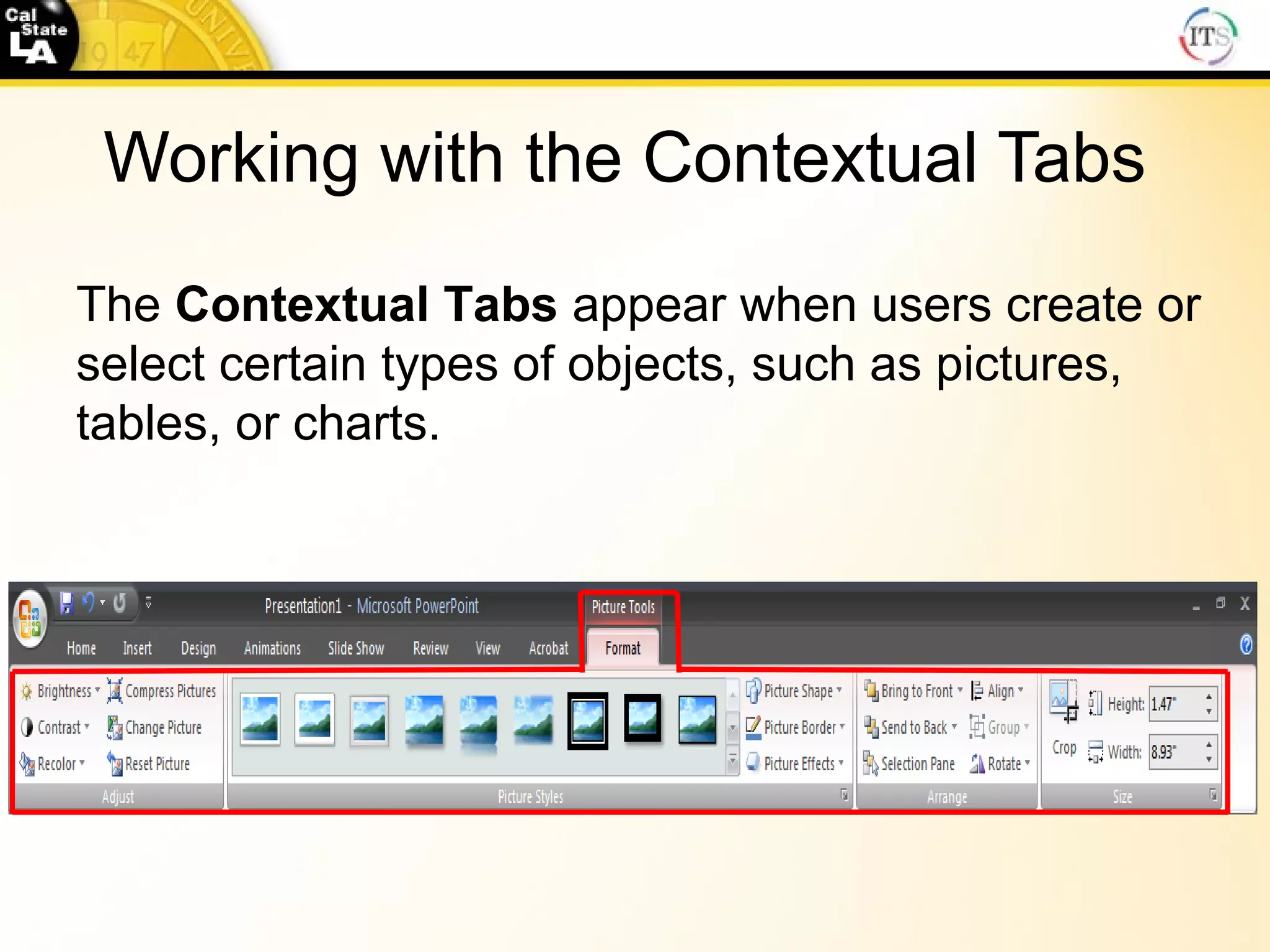 Powerpoint tutorials | PPT