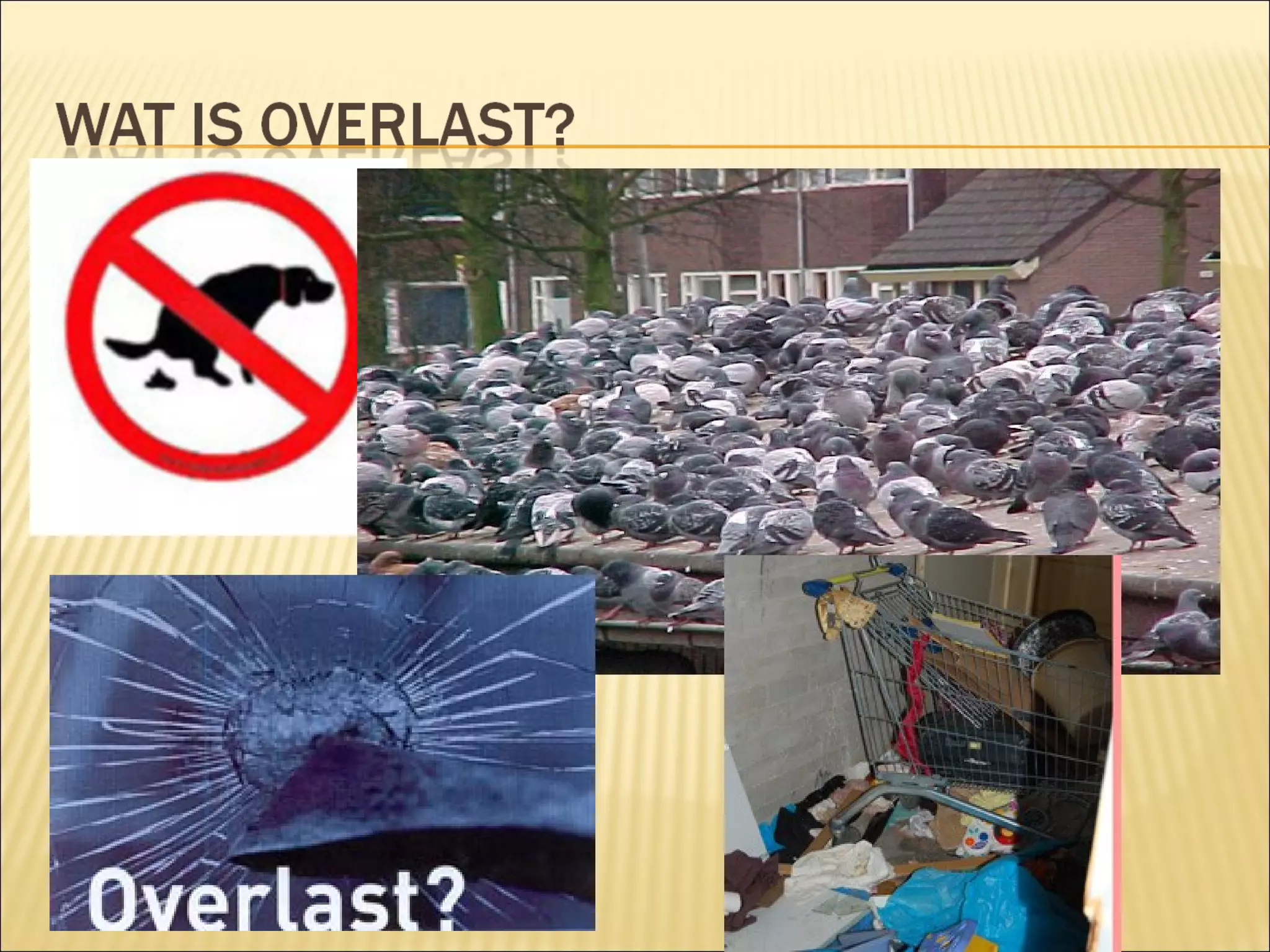 powerpoint wiki | PPT