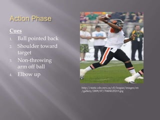 Phases Of Throwing A Football