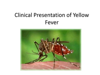 Clinical Presentation | PPTX | Infectious Diseases | Diseases and ...