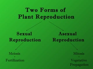 Powerpoint 16 plant reproduction | PPT