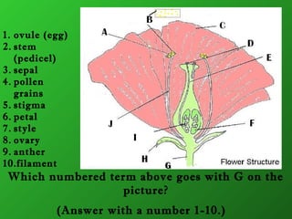 Powerpoint 16 plant reproduction | PPT