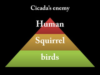 Power point 1 enbe | PPTX