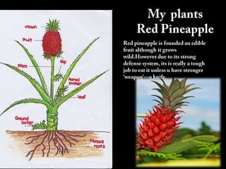 Power point 1 enbe | PPTX