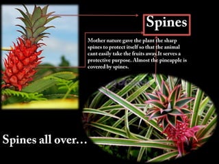 Power point 1 enbe | PPTX