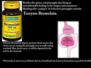 Power point 1 enbe | PPTX