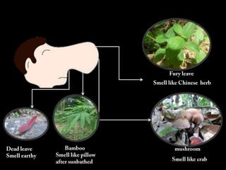 Power point 1 enbe | PPTX