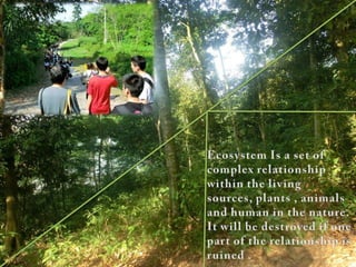 Power point 1 enbe | PPTX