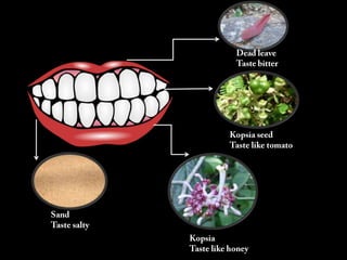 Power point 1 enbe | PPTX