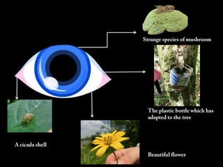 Power point 1 enbe | PPTX