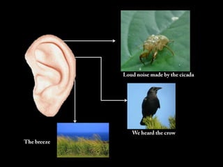 Power point 1 enbe | PPTX