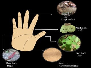 Power point 1 enbe | PPTX