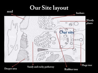 Power point 1 enbe | PPTX