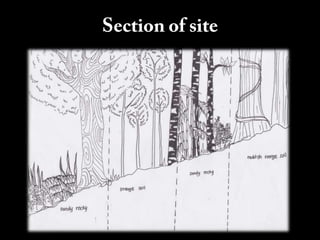 Power point 1 enbe | PPTX