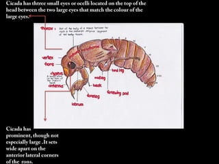 Power point 1 enbe | PPTX