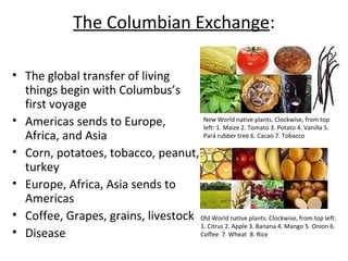 Power point 1 Exploration and The New World | PPT