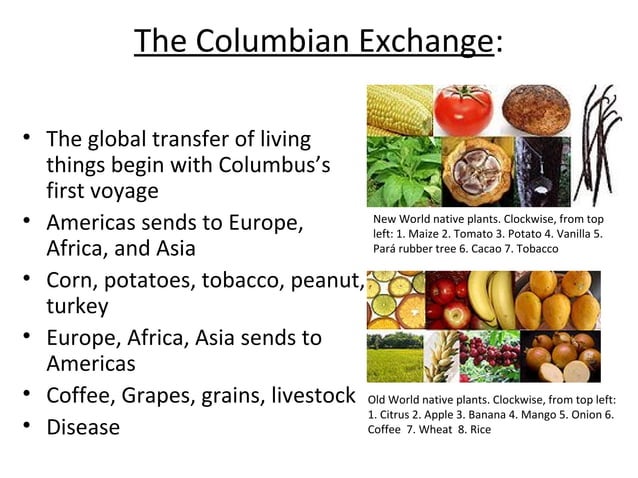 Power point 1 Exploration and The New World | PPT