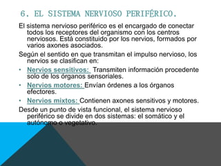 Sistema Nervioso y Endocrino | PPTX