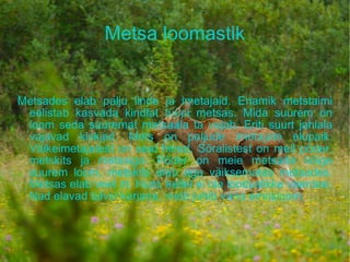 Mets | PPT