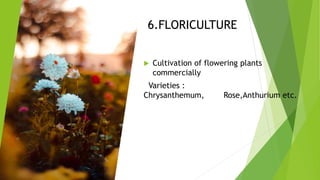 PowerPoint 2023 (1).pptx