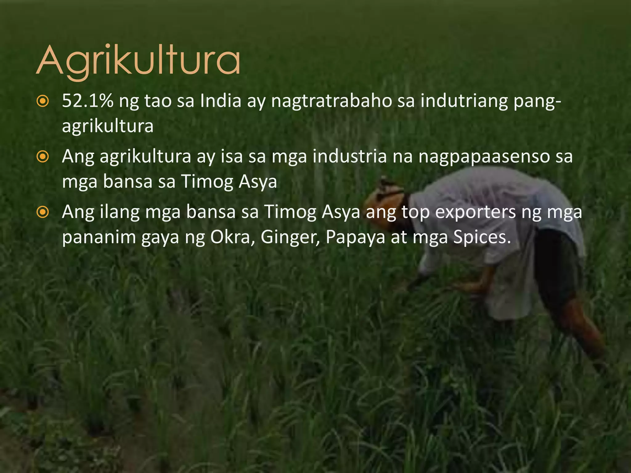 Pisikal na katangian ng Timog Asya | PPTX