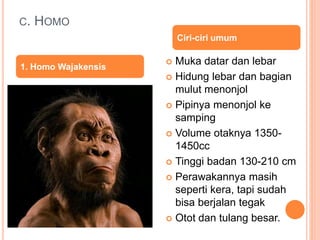 kehidupan masa pra aksara indonesia | PPT