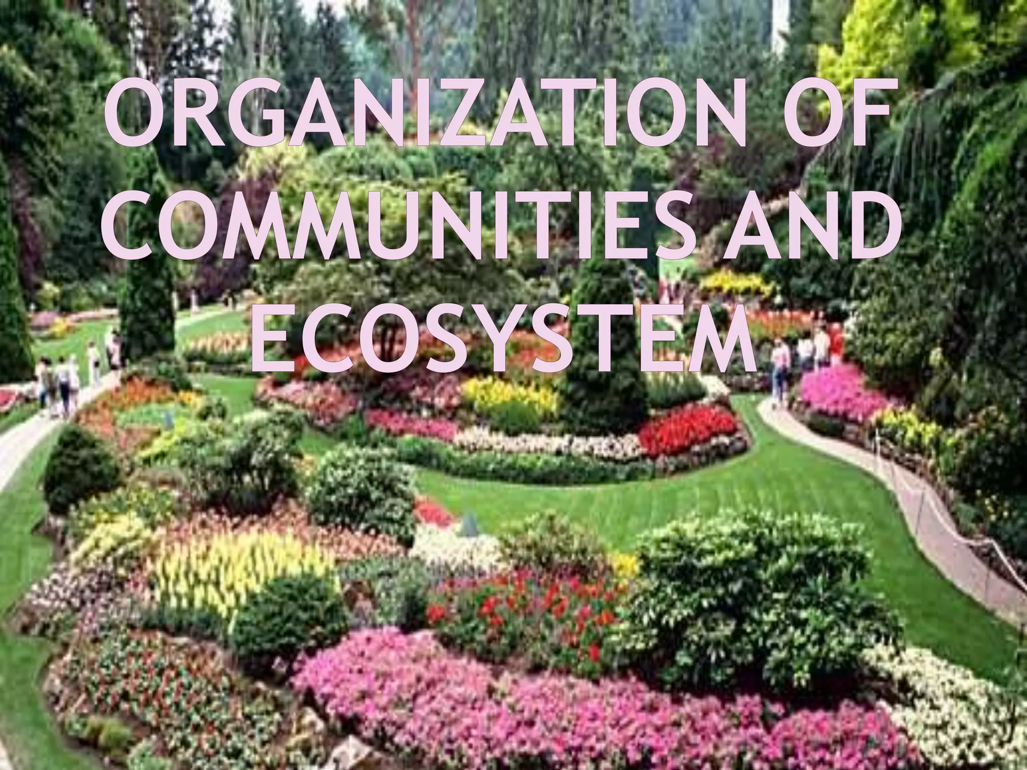Organization of communities and ecosystem | PPTX | Biological Sciences ...