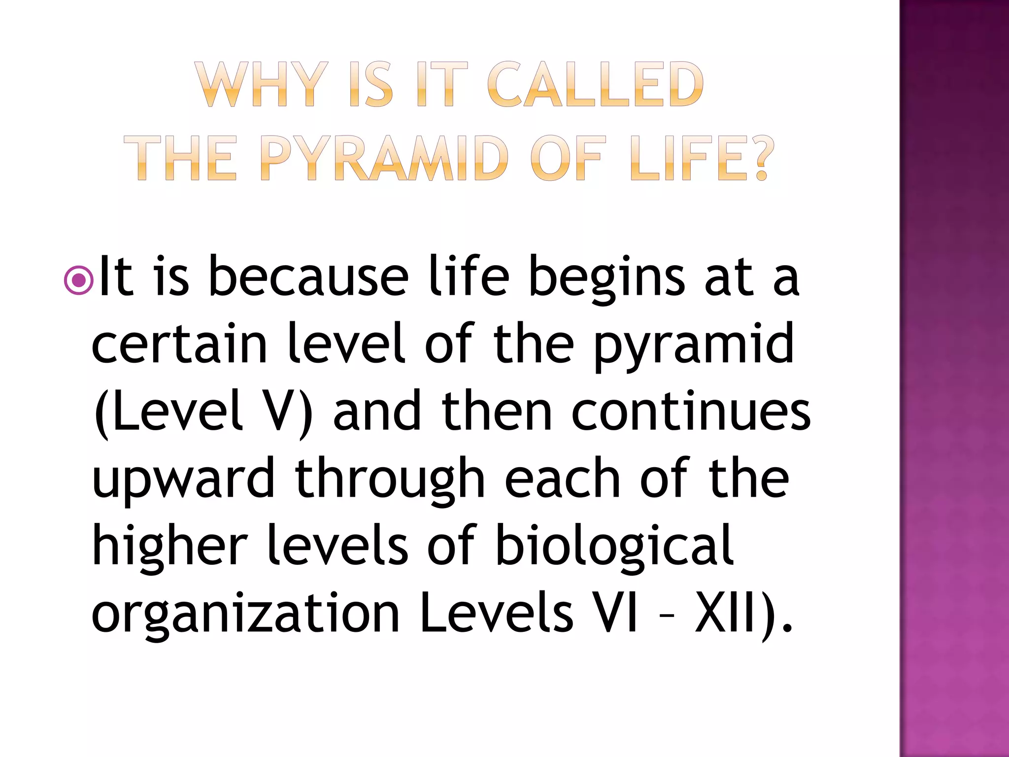 Organization of communities and ecosystem | PPTX | Biological Sciences ...