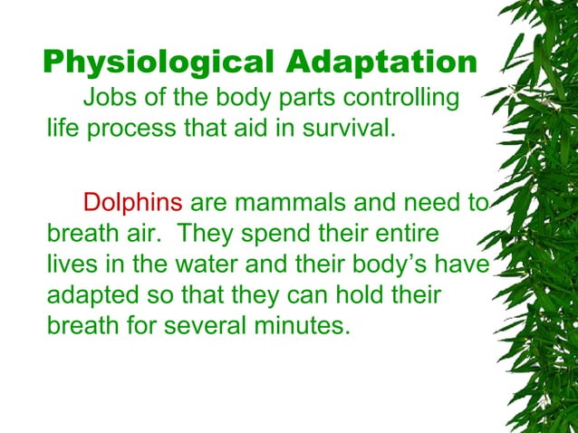 Power point adaptations | PPT | Fish and Aquariums | Pets