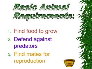 Power point adaptations | PPT