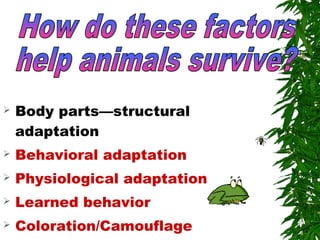 Power point adaptations | PPT