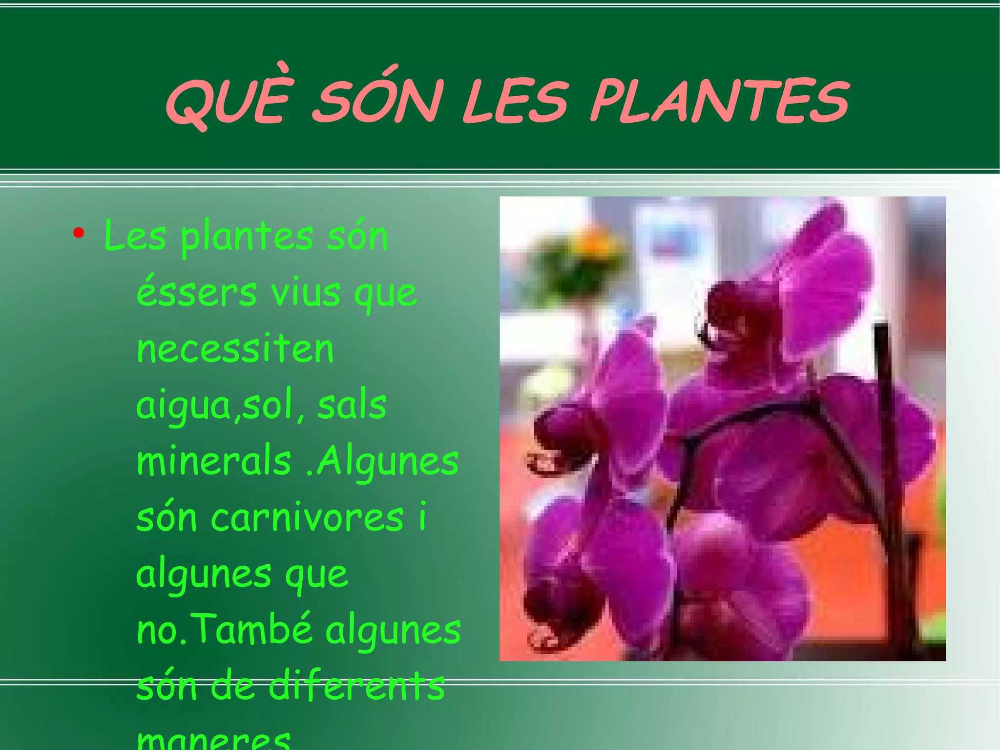 Power point alba | ODP