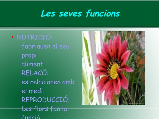 Power point alba | ODP