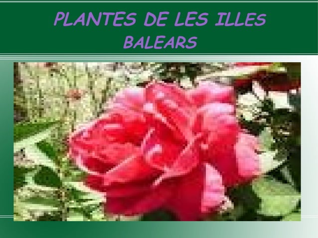 Power point alba | ODP