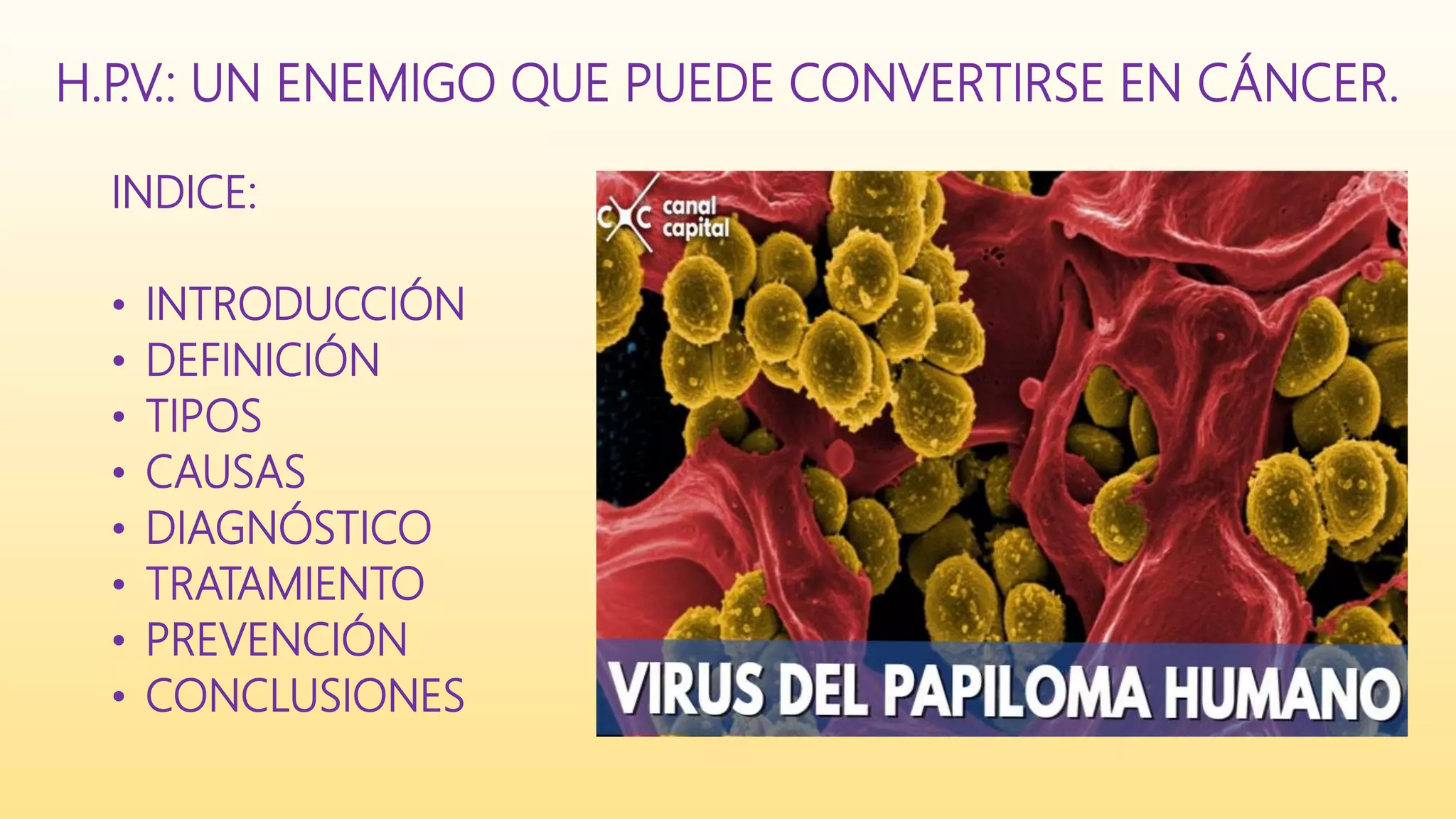 EL VIRUS DEL PAPILOMA HUMANO | PPTX | Vaccines | Medical Health